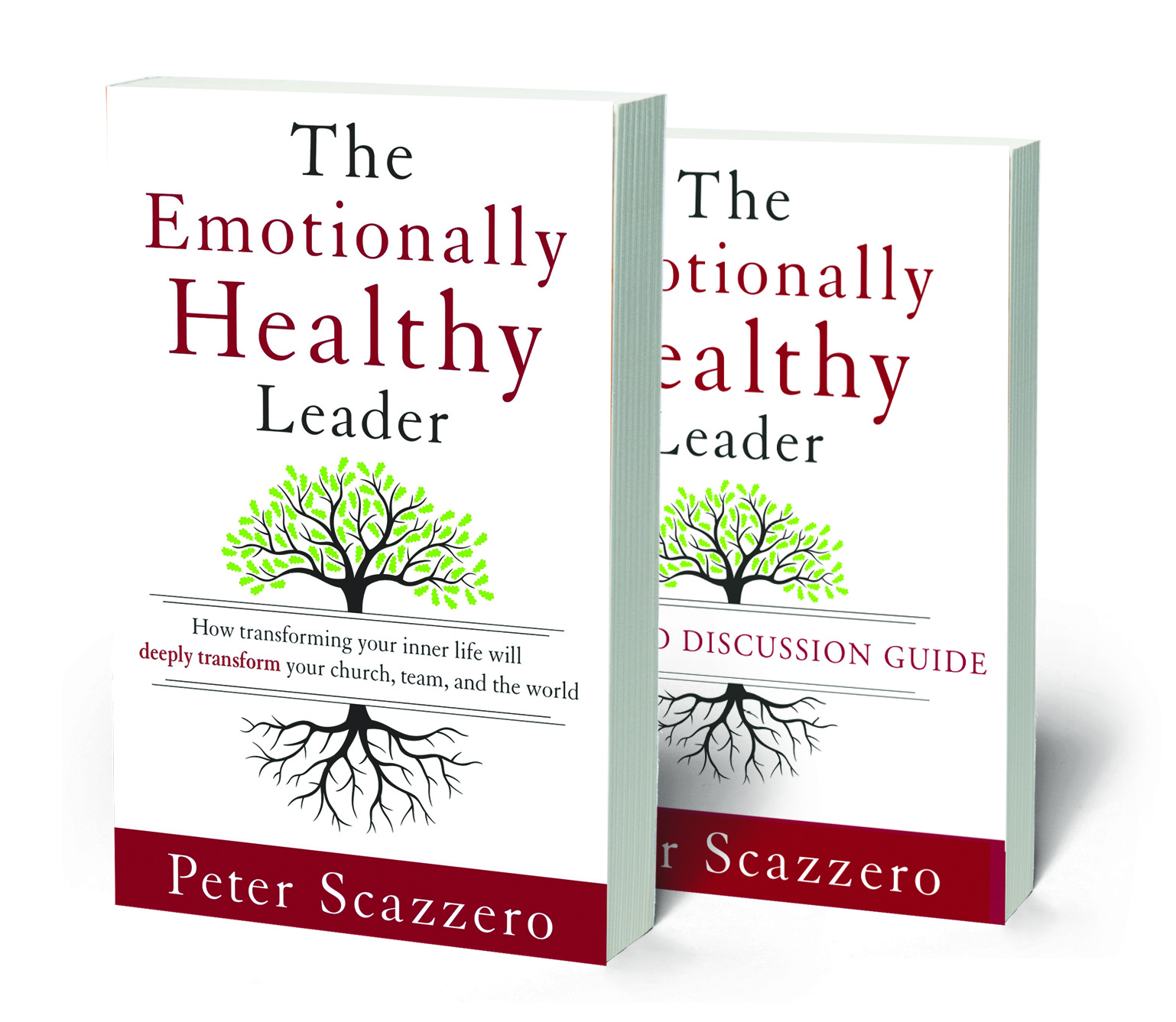 The Emotionally Healthy Leader: More Than a Book | Emotionally Healthy ...